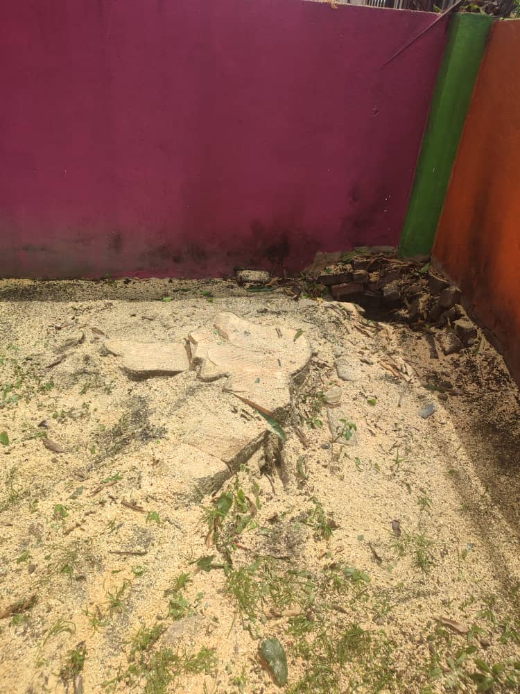 Servis Potong Pokok - HJ Landscape